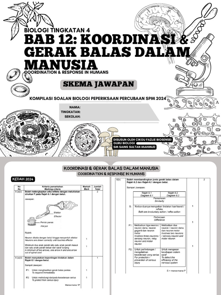 F4C12 Kompilasi Trial 2024 - Skema | PDF
