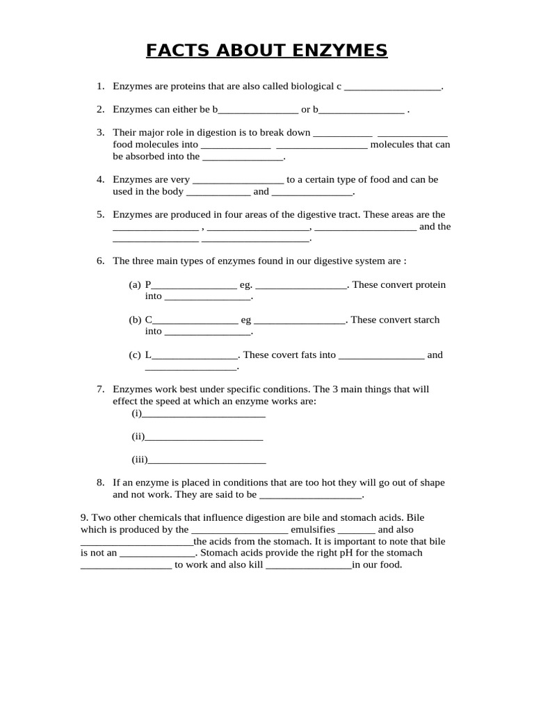 FACTS ABOUT ENZYMES | PDF