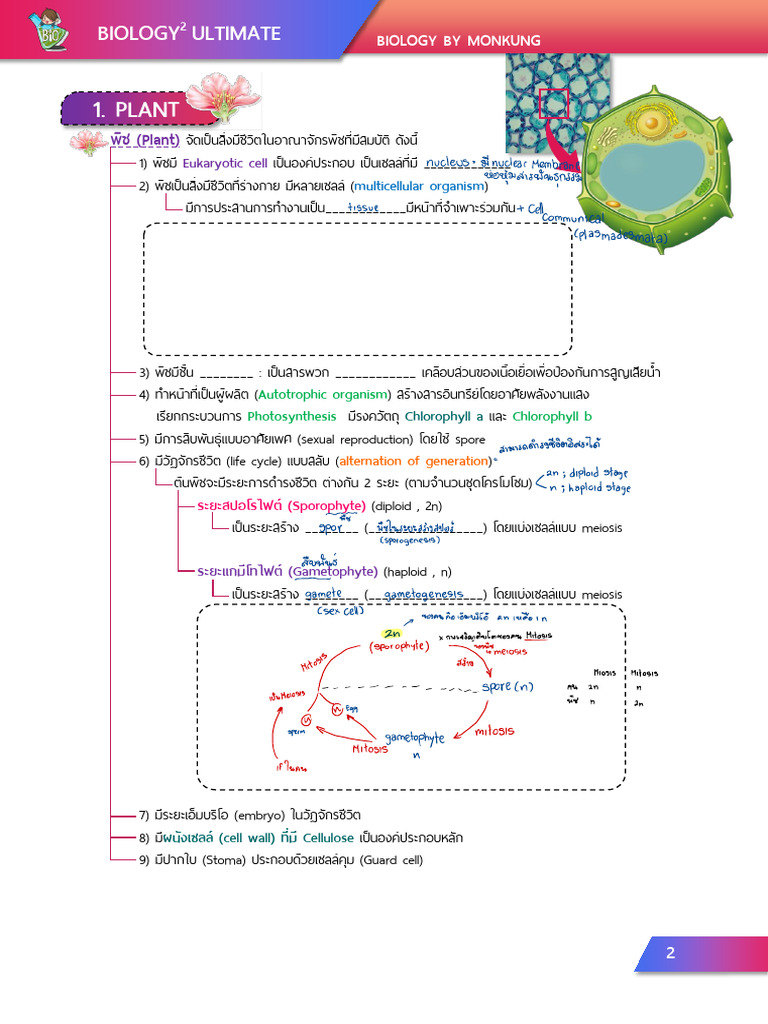 Bio Ultimate M.6vol04 Plant World Unit25 Plant Reproduction | PDF