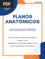 Ejes, Planos y Posiciones Anatómicas | PDF | Términos anatómicos de ubicación | Hombro