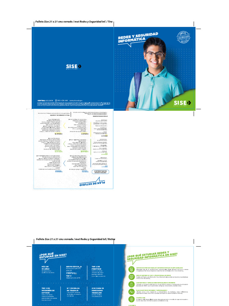 BROCHURE REDES Y SEG INF | PDF