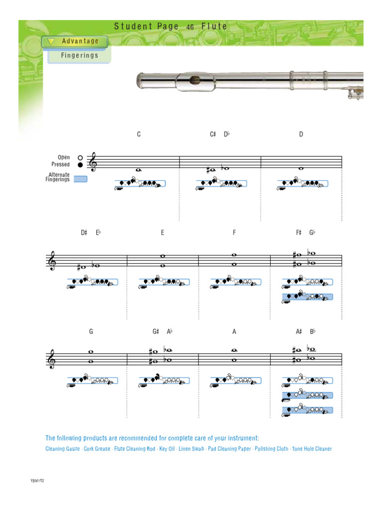 02 - Flute - Level 2 | PDF