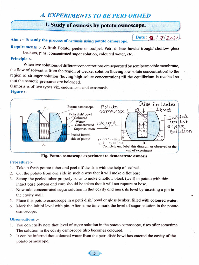 Class 12 Biology Practical Notebook ? | PDF