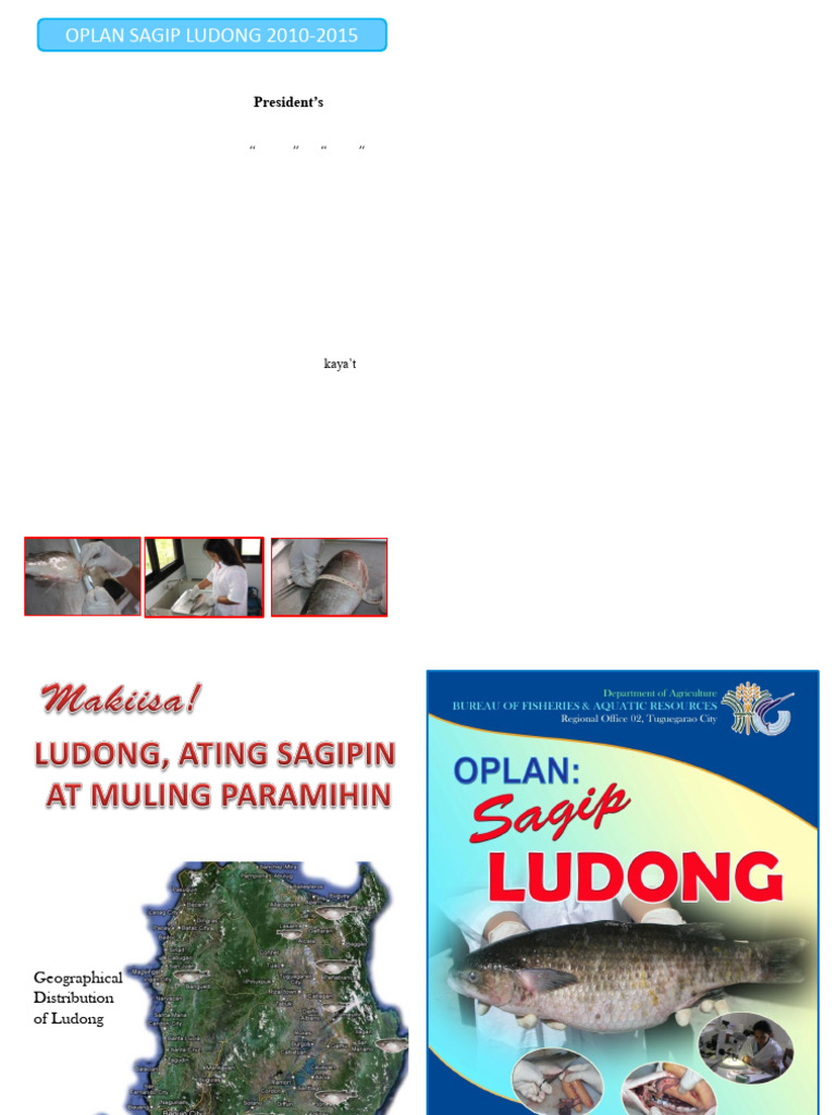 Oplan Sagip Ludong | PDF