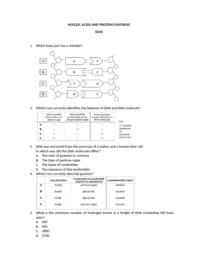 NUCLEIC ACIDS AND PROTEIN SYNTHESIS | PDF | Dna | Translation (Biology)