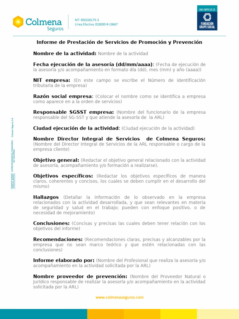 Plantilla Informe T Cnico TIPO A Completo | PDF