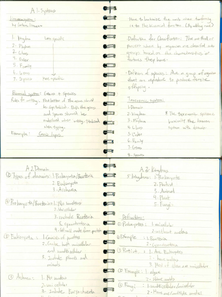 IGCSE Bio Notes (by Oliver)_compressed (1) | PDF