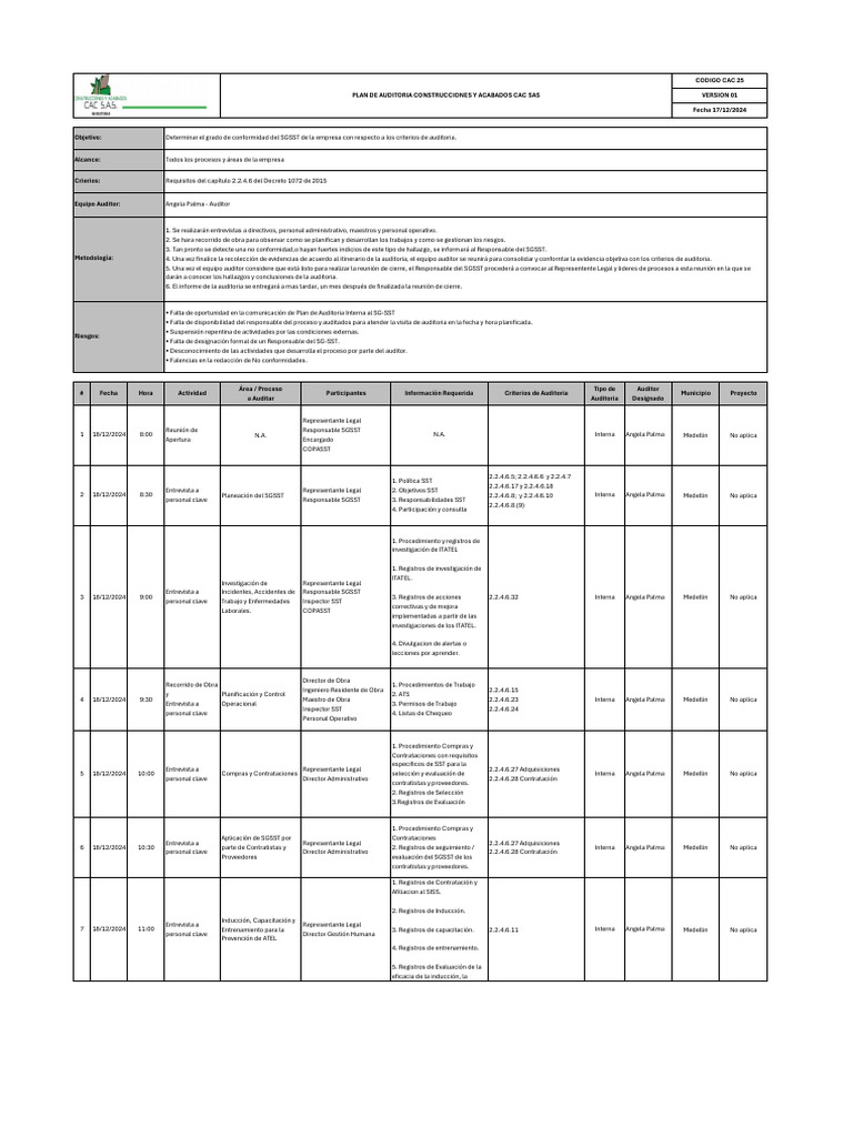 Plan de Auditor _CAC 25 firmado | PDF | Auditoría