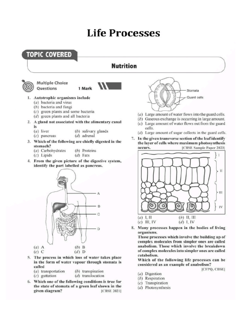 Life Processes Cls 10 Imp Questions | PDF