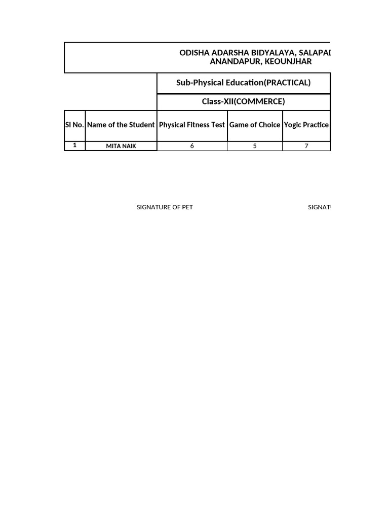 Xii (Commerce)Practical- Copy | PDF