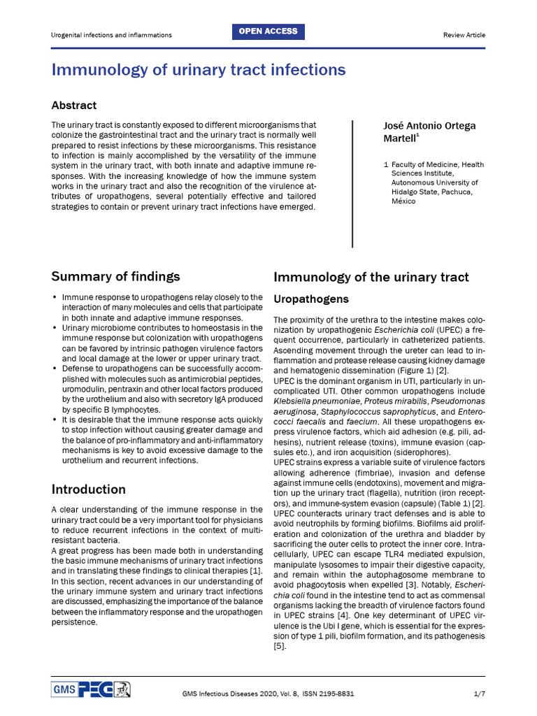 Immunology of Urinary Tract Infections | PDF | Immune System | Innate ...
