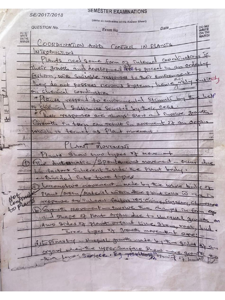 Lecturer Material On Plant | PDF