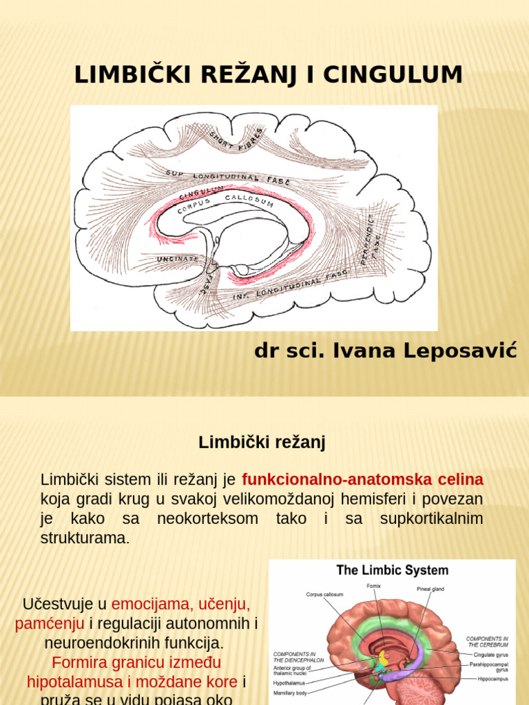 IV Predavanje | PDF