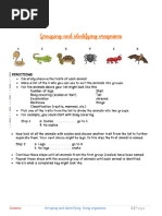 Dichotomous Key Practice Worksheets | PDF | Foreign Language Studies