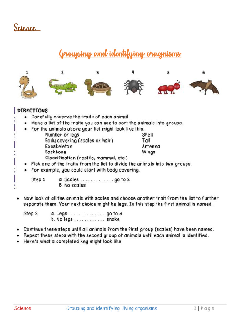 Grouping and Identifying Organisms Worksheet | PDF | Mule