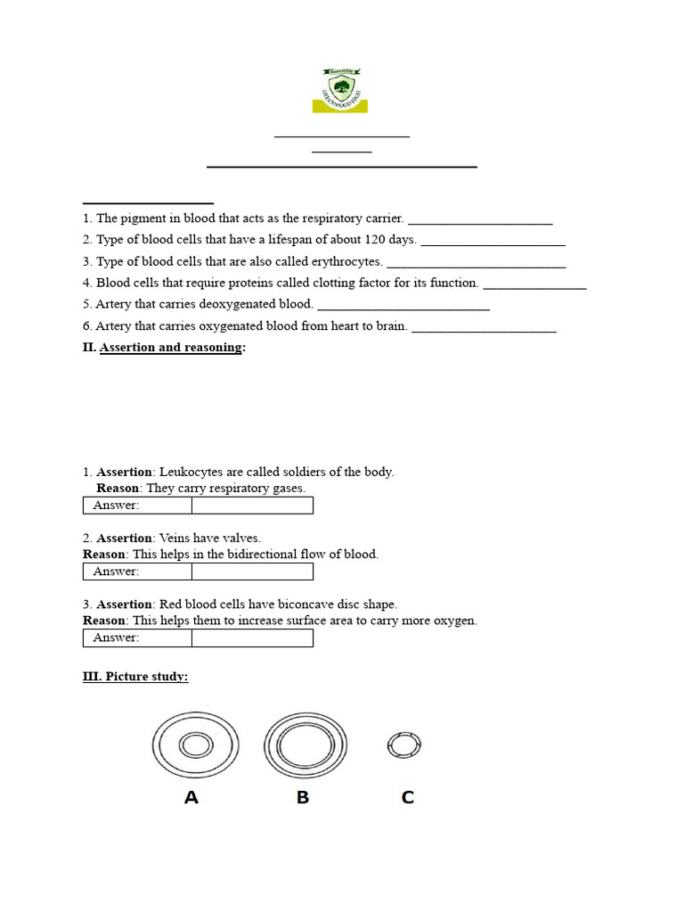 Circulatory System Wsh 1 | PDF | Blood | Artery