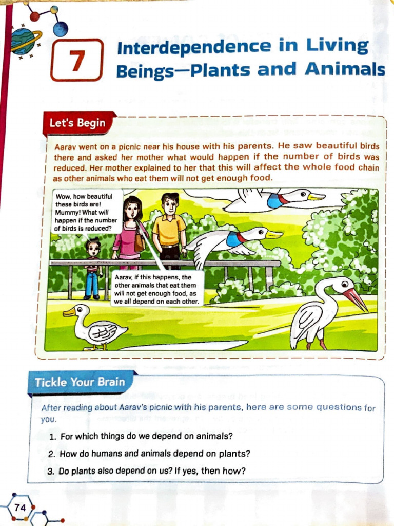 Interdependence in Living Beings | PDF | Decomposition | Foods