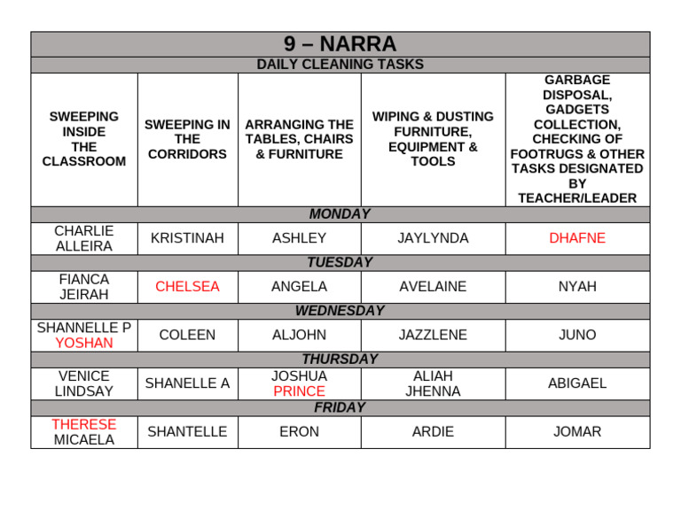 CLEANERS Narra | PDF