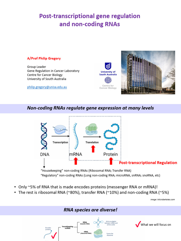 W12 | PDF | Messenger Rna | Micro Rna