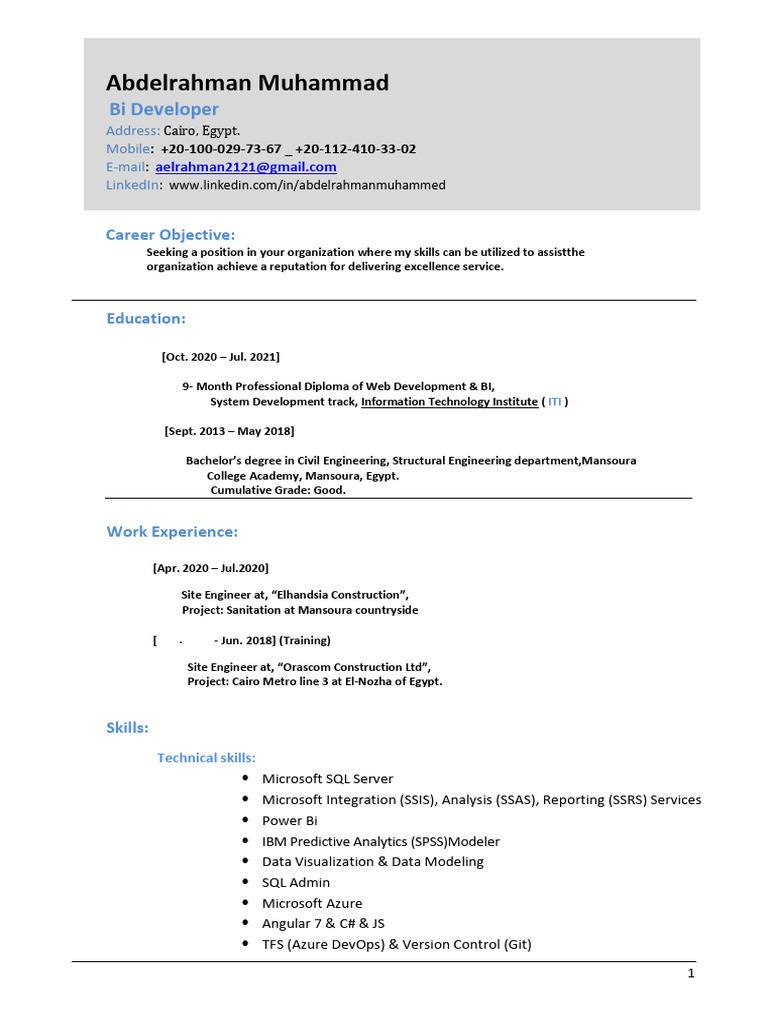 Web Developer & BI Specialist Resume | PDF | Computing | Data Management