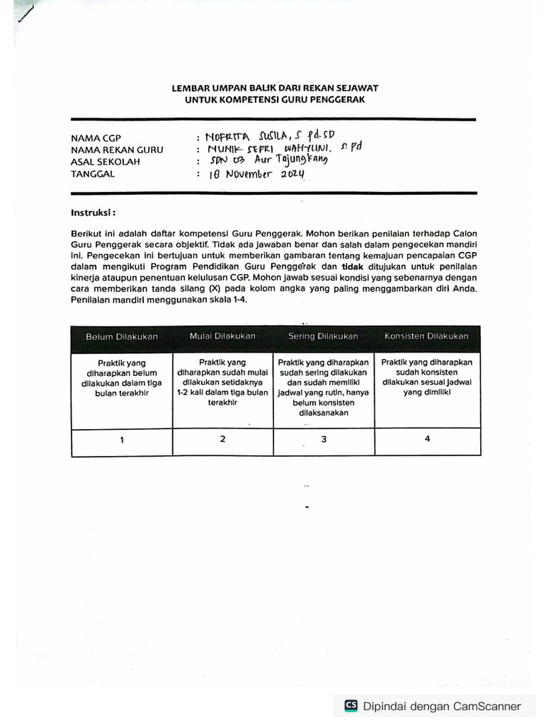 Lembar Umpan Balik Rekan Sejawat | PDF