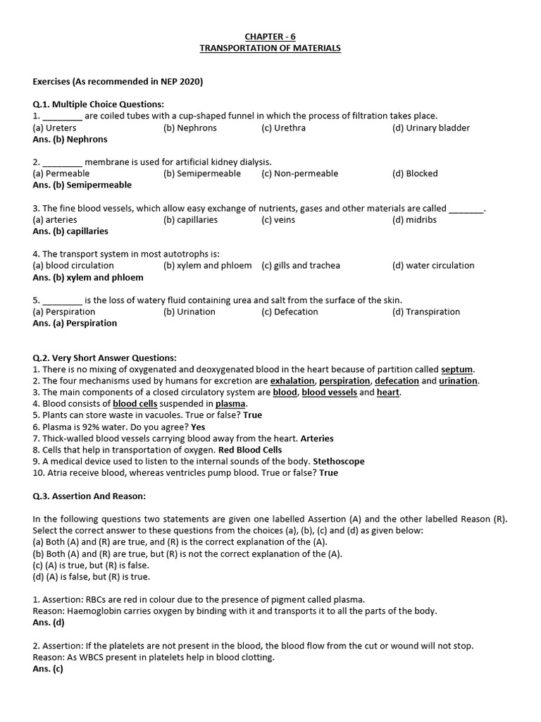Transportation of Materials Quiz | PDF | Blood | Artery