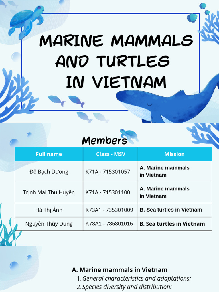 Ocean Habitat | PDF | Marine Mammals | Sea Turtle