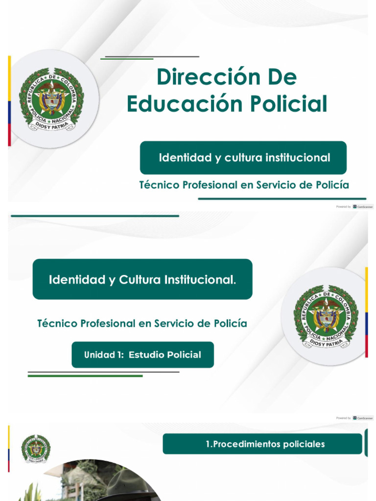 Identidad y Cultura Institucional | PDF