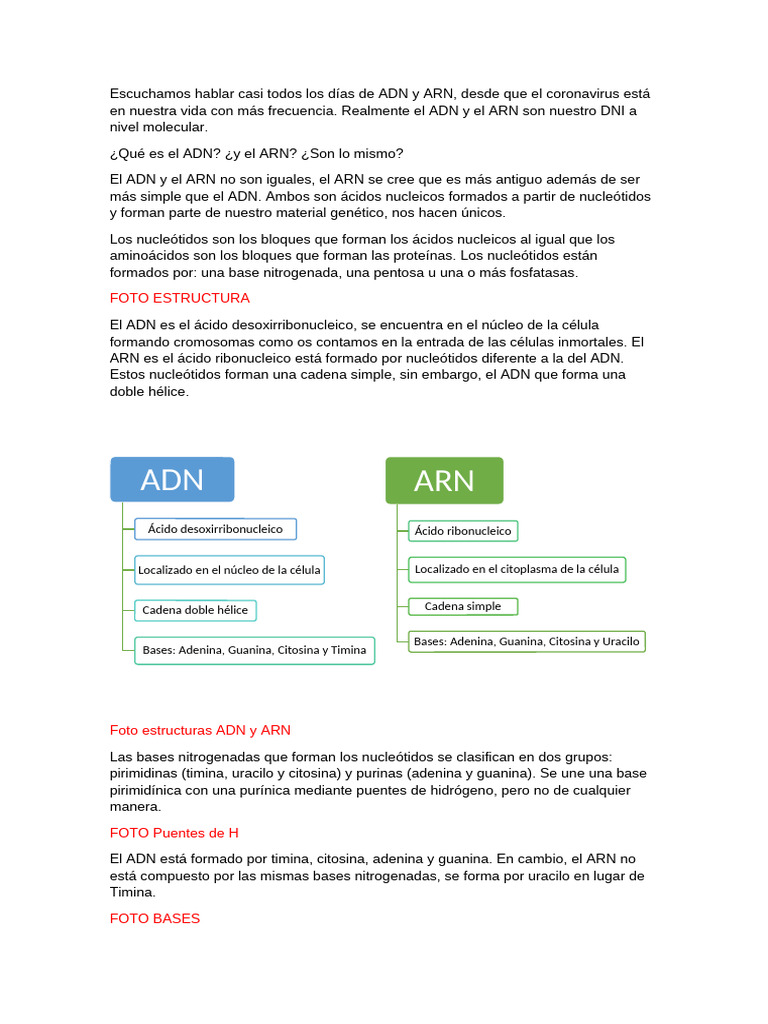 ARN Y ADN | PDF | Rna | Adn