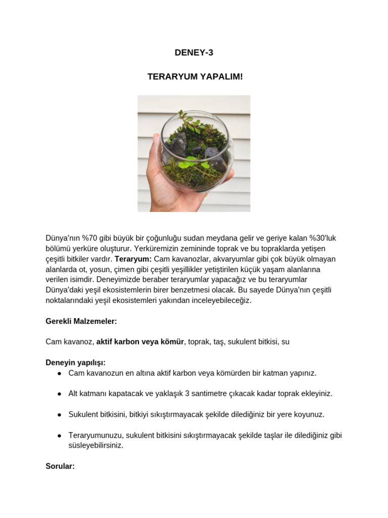 DENEY-3 - Teraryum | PDF