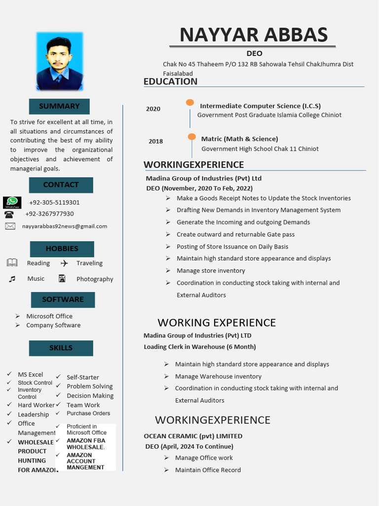 professional resume | PDF | Inventory | Business