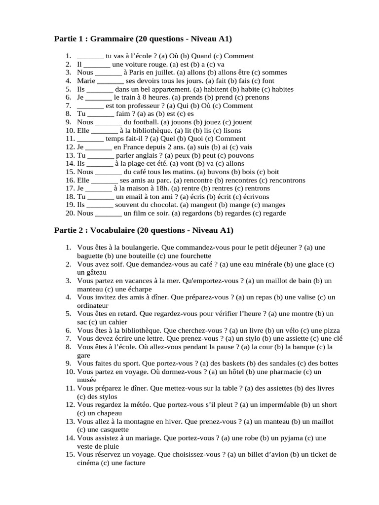 Test de Grammaire et Vocabulaire A1 | PDF