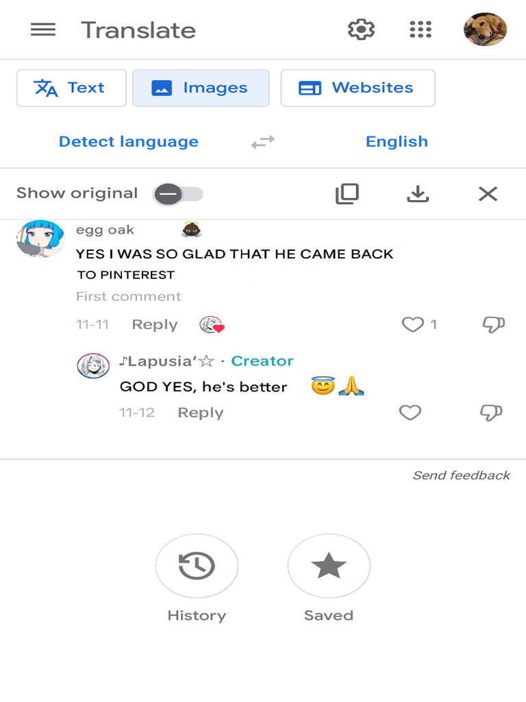 Google Translate | PDF