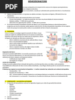 Hemosiderina y Hemosiderosis: Diagnóstico y Efectos | PDF
