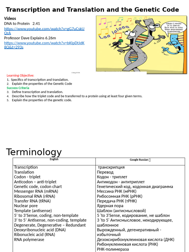 Transcription, Translation, Genetic Code | PDF | Translation (Biology ...