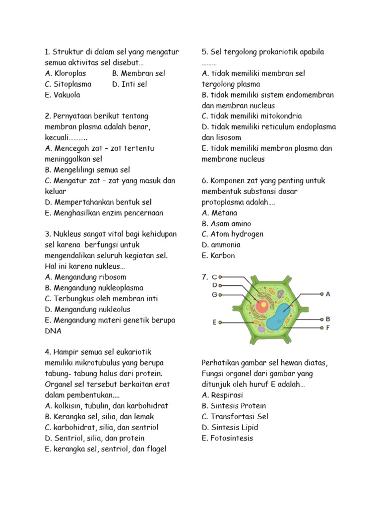 SOAL BIOLOGI SEL LES FASCAL | PDF