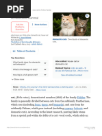 Wild Cat Family List by Lineage - Family | PDF | Felidae | Panthera
