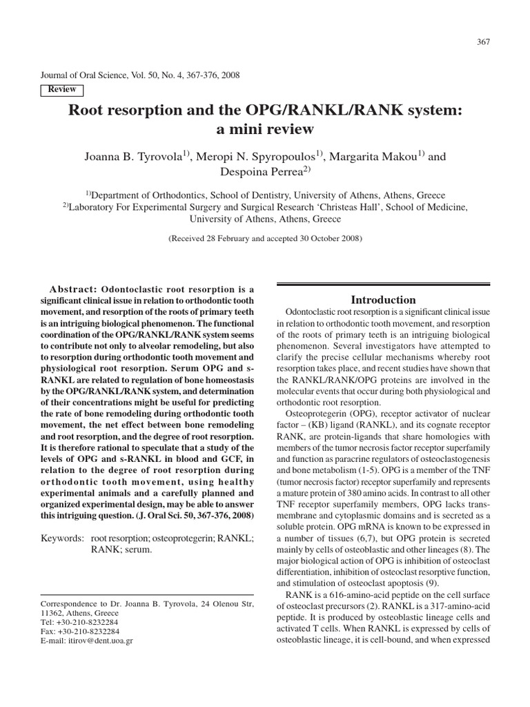OPG/RANKL/RANK in Root Resorption | PDF | Bone | Human Tooth
