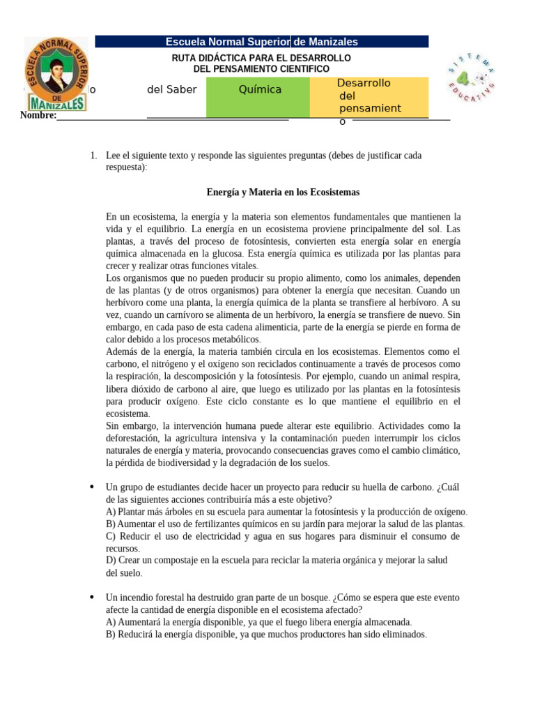 Ciclos de Energía y Materia en Ecosistemas | PDF | Nitrógeno | Naturaleza