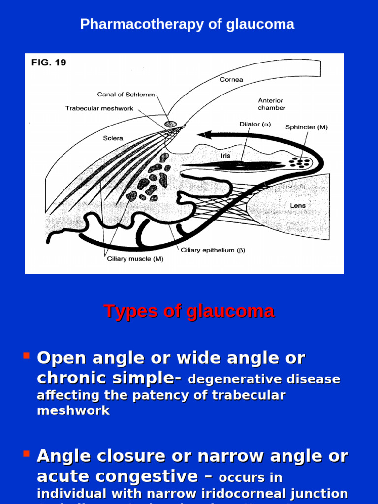 Pharmacotherapy of Glaucoma - DR - Vinod Thomas | PDF
