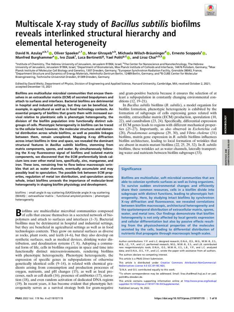 Multiscale X-Ray Study of Bacillus Subtilis Biofil | PDF | Biofilm | Extracellular Matrix