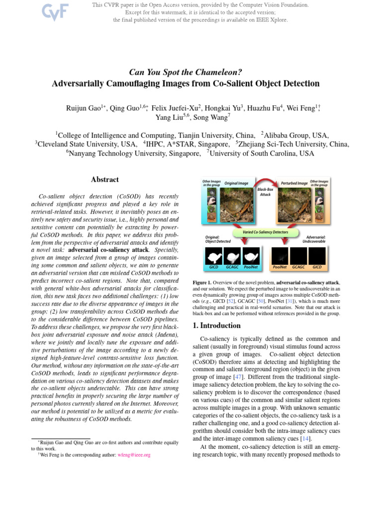 Adversarial Co-Saliency Attack | PDF | Computer Vision | Applied Mathematics