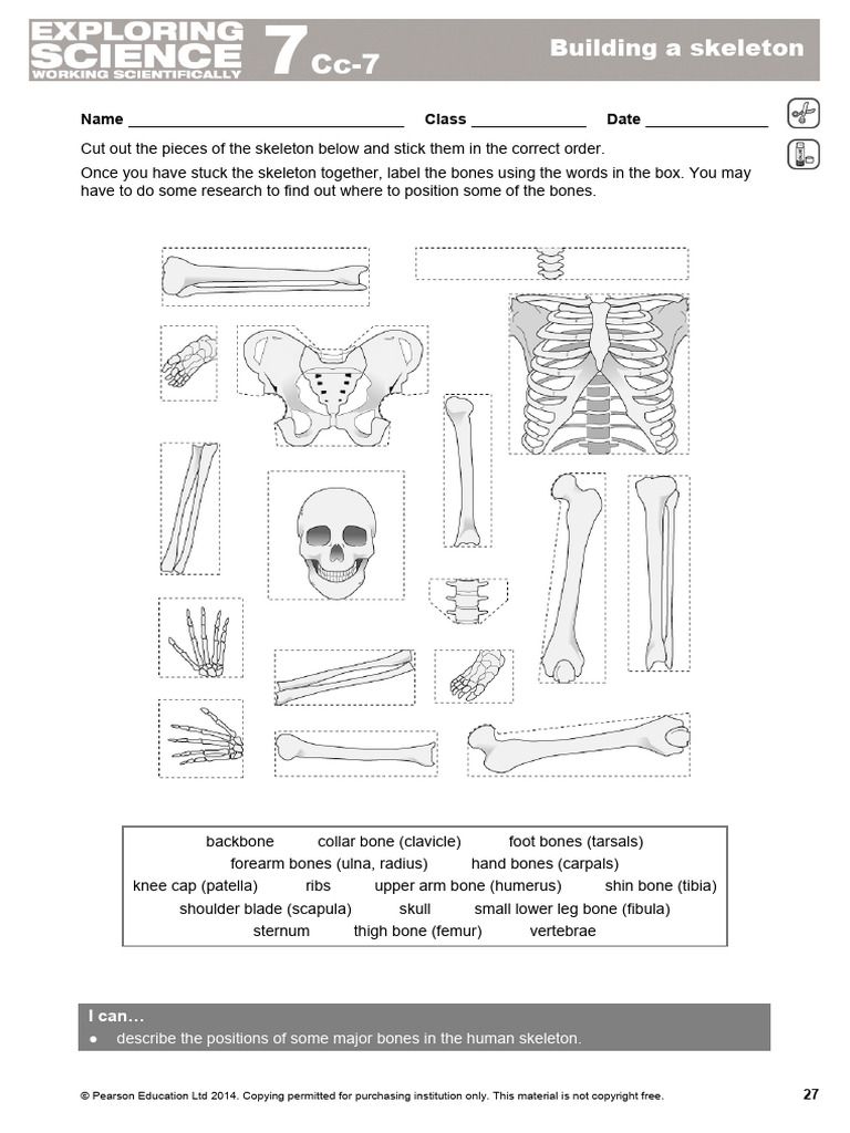 Int Esws at 7cc7 Building A Skeleton | PDF