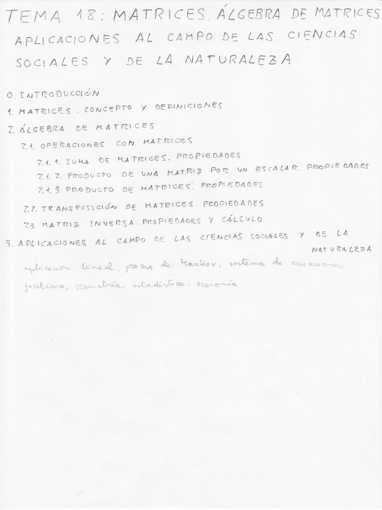 Tema 18 Matrices | PDF