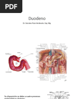 Anatomía del Duodeno y sus Relaciones | PDF | Abdomen | Hígado