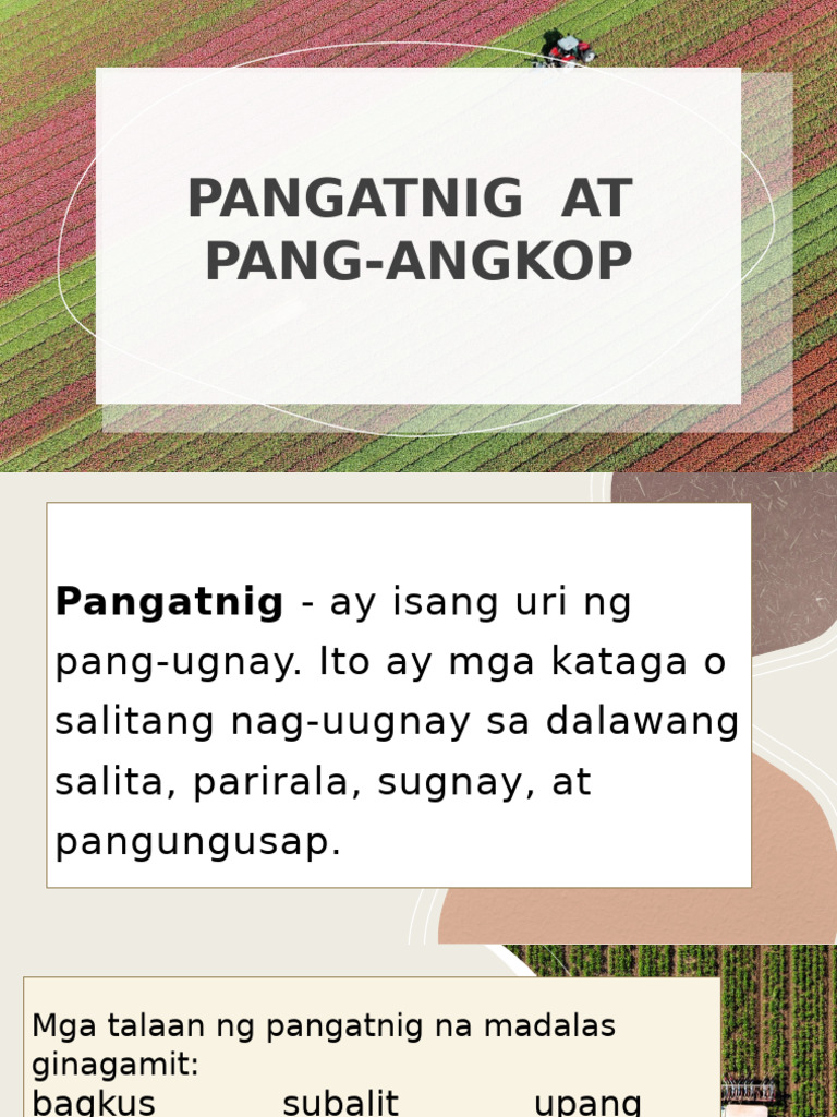 PANGATNIG AT pANG-ANGKOP | PDF