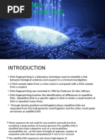 Dna Fingerprinting Investigatory Project 2024-25 Class-12 | PDF | Gel ...