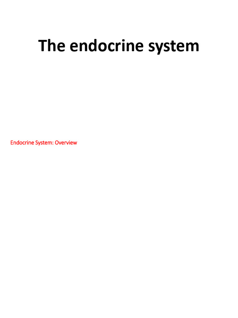 Overview of the Endocrine System | PDF | Ear | Endocrine System