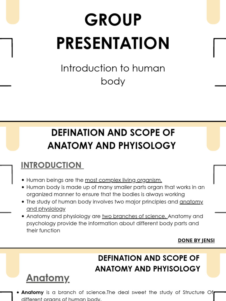 Group Presentation - 2024122 | PDF | Human Body | Homeostasis