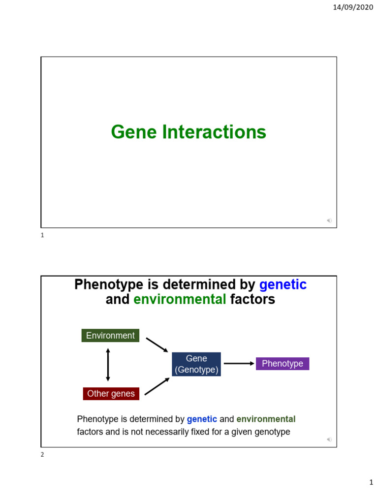 Epistasis and Gene Interaction Explained | PDF | Dominance (Genetics ...